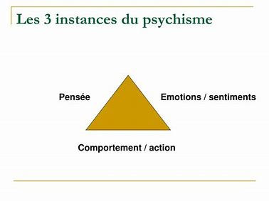Les 3 instances du psychisme - Centre Inspire Respire